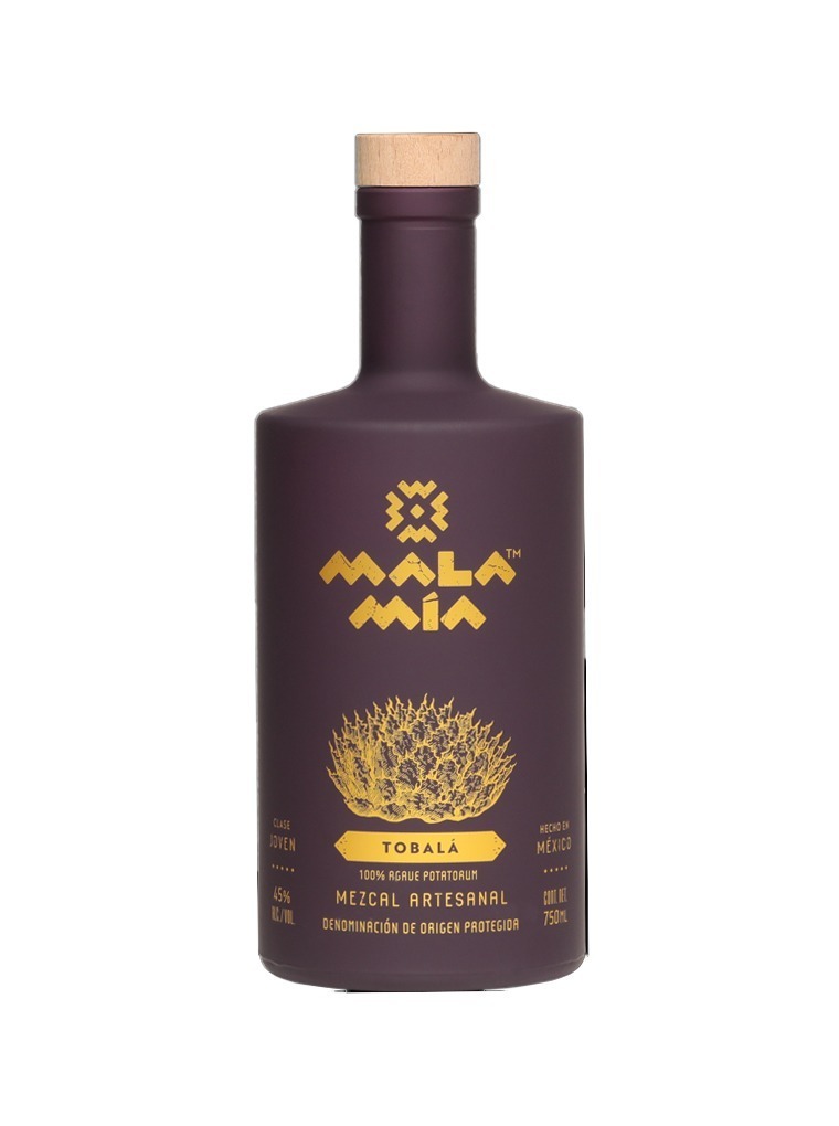 Types of agave and the mezcal they produce – Mezcal Pro