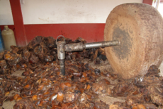 How Mezcal is Made - The 6+1 Steps of Mezcal Production