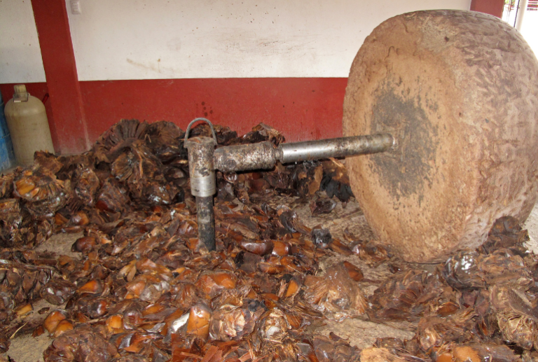 How Mezcal is Made - The 6+1 Steps of Mezcal Production